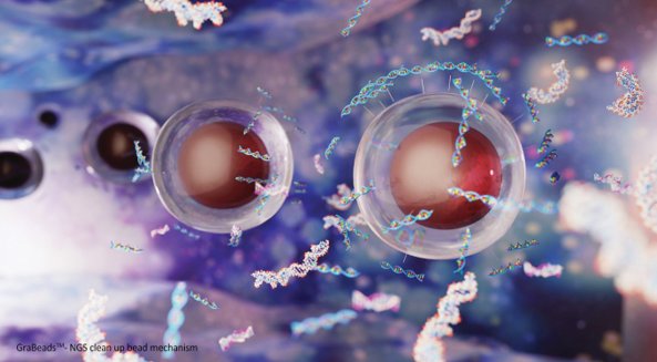 KingoBio: Leading the Next Generation of Bio Research with NGS Cleanup ...
