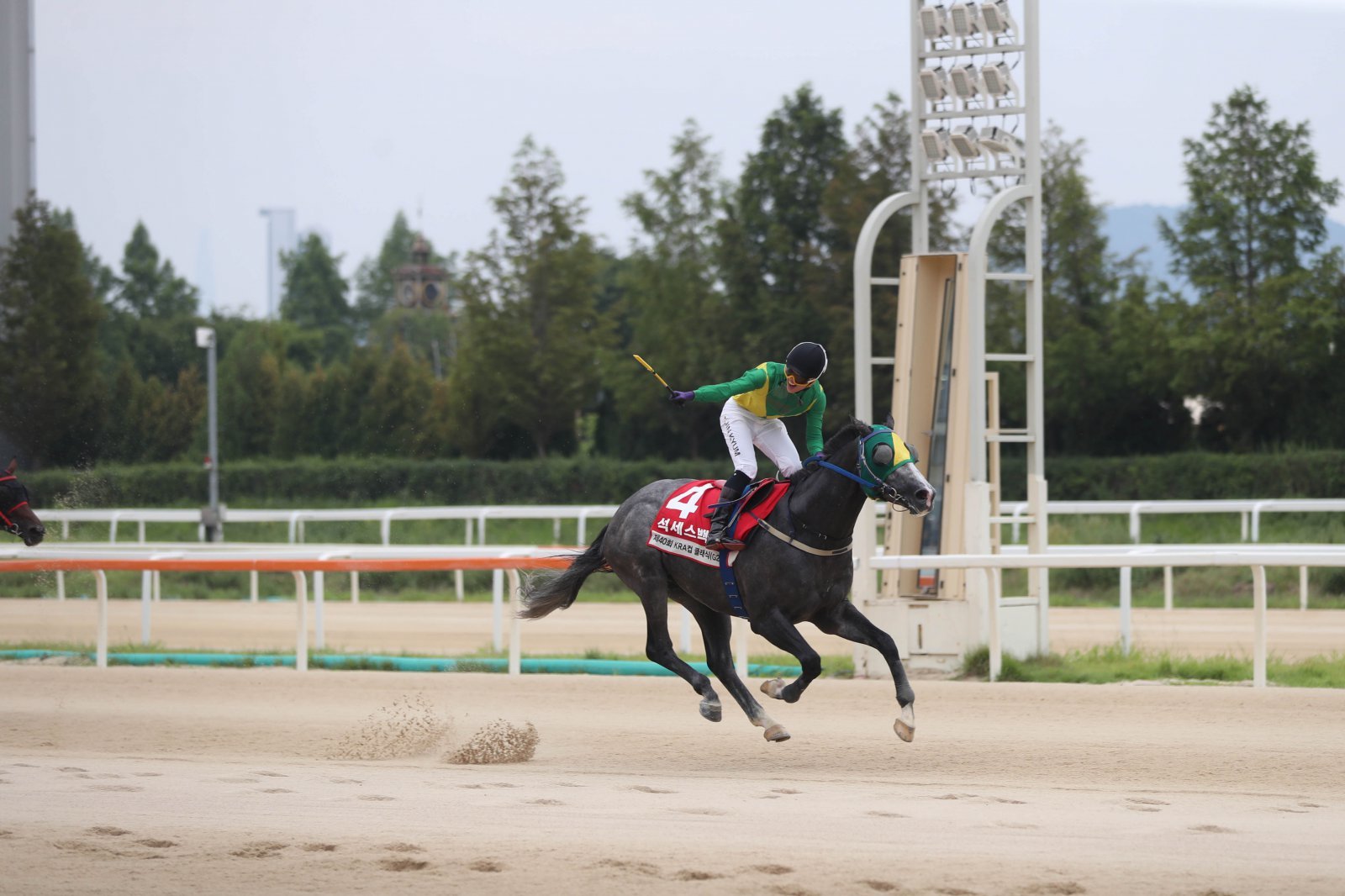 세계가 주목하는 글로벌 경마축제, 2025 OBS 코리아컵&코리아스프린트(IG3)서 세계 명마 대격돌｜스포츠동아